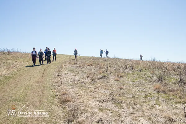 OSERO E PERINO UN LUNGO ANELLO CON PANORAMINO